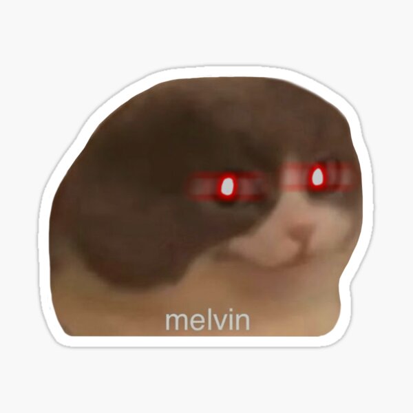 "Melvin Cat Meme" Sticker by surrile | Redbubble