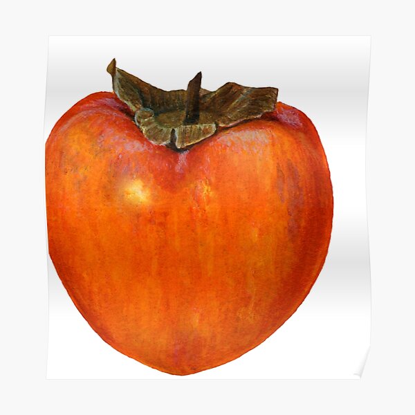 "Realistic Persimmon Tropical Fruits" Poster for Sale by blackpensieve ...
