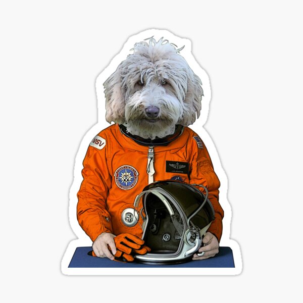 "Labradoodle in space (light yellow)" Sticker for Sale by MadameMemento ...