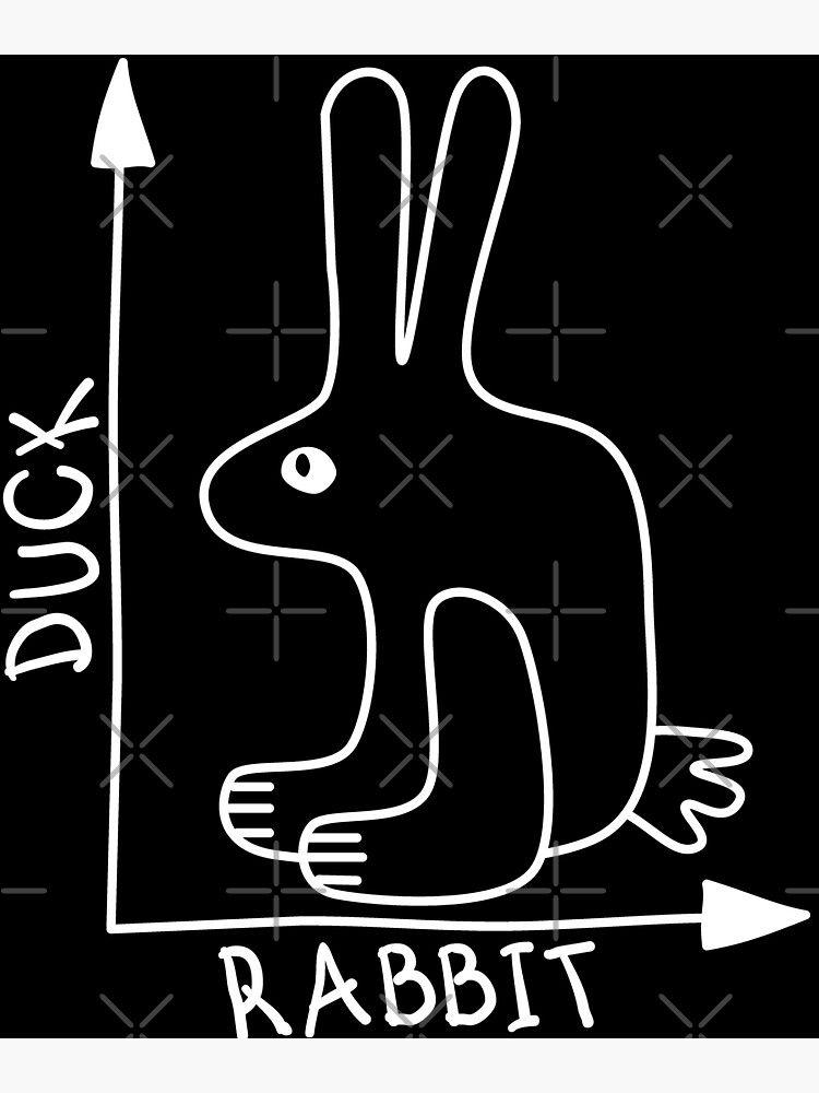 "Funny Nerdy Rabbit Duck Graph Easter Math Teacher Optical Illusion ...