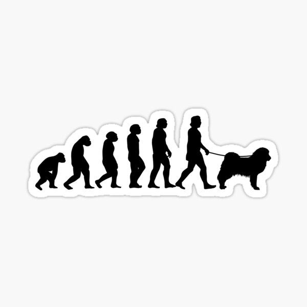 "Do Khyi Evolution Tibetan Mastiff Tibetan Mastiff" Sticker by madgrfx ...