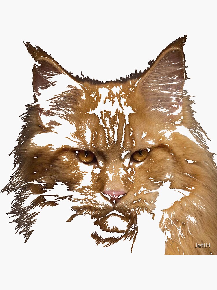 "redneck cat" Sticker by JettH | Redbubble