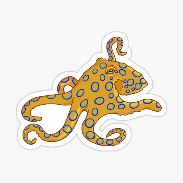 "Blue ringed octopus" Sticker for Sale by hannahmillgate | Redbubble