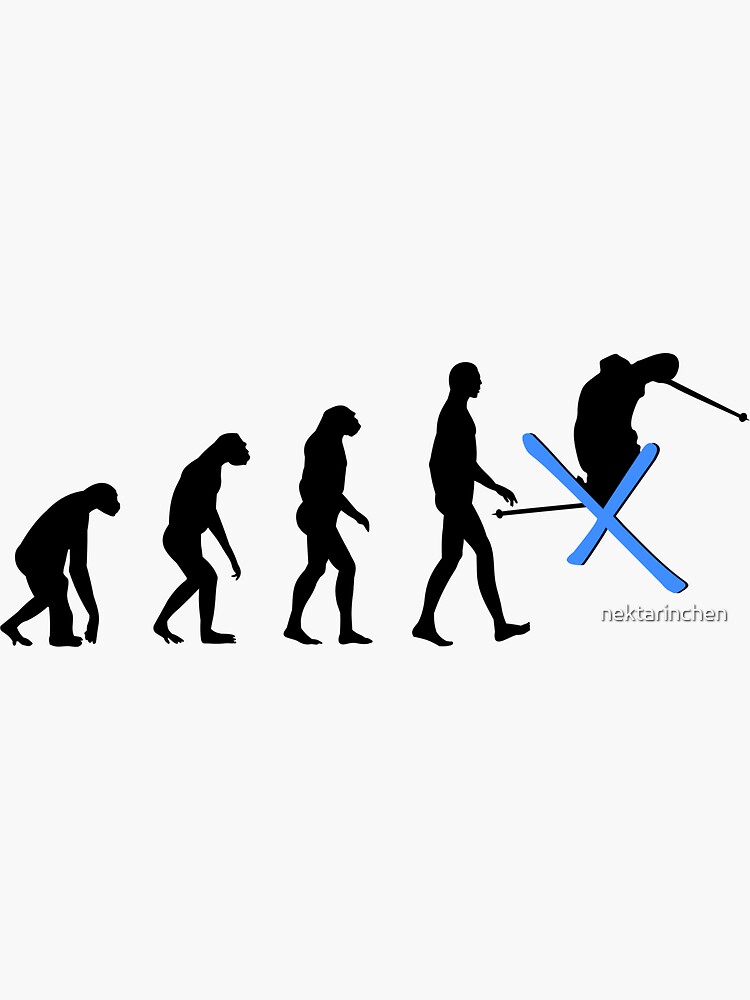 "Evolution Ski" Sticker for Sale by nektarinchen | Redbubble