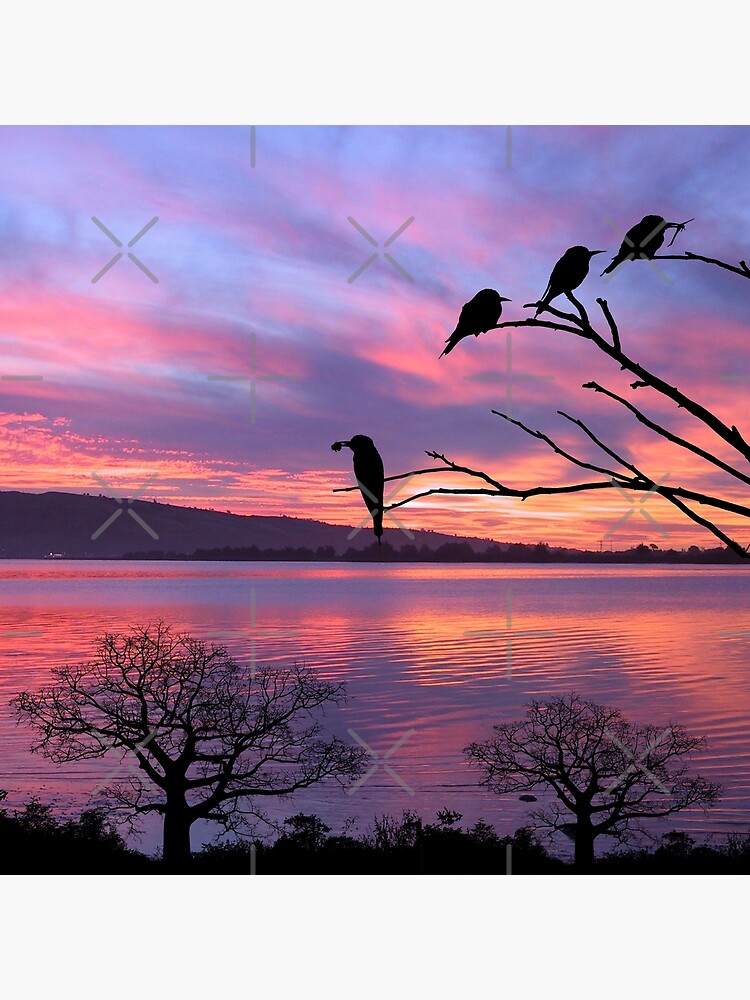 "Colorful pink sunset with beautiful birds and trees" Poster for Sale ...