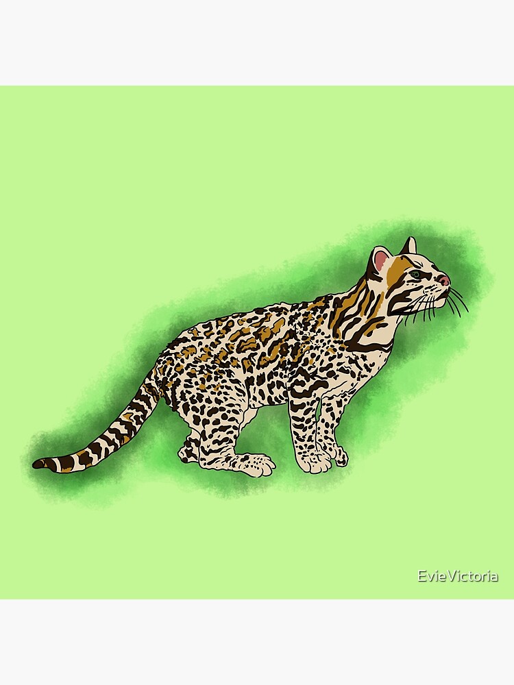 "Ocelot Cartoon" Poster for Sale by EvieVictoria | Redbubble