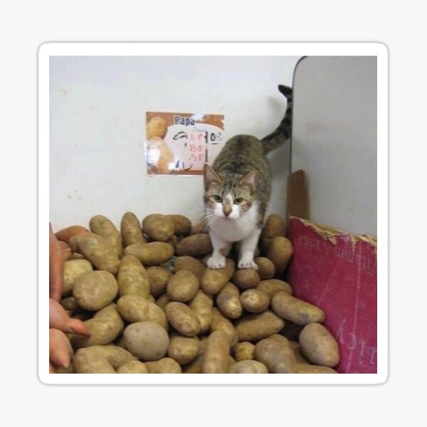 "potato cat" Sticker by vanillaoatmelk | Redbubble
