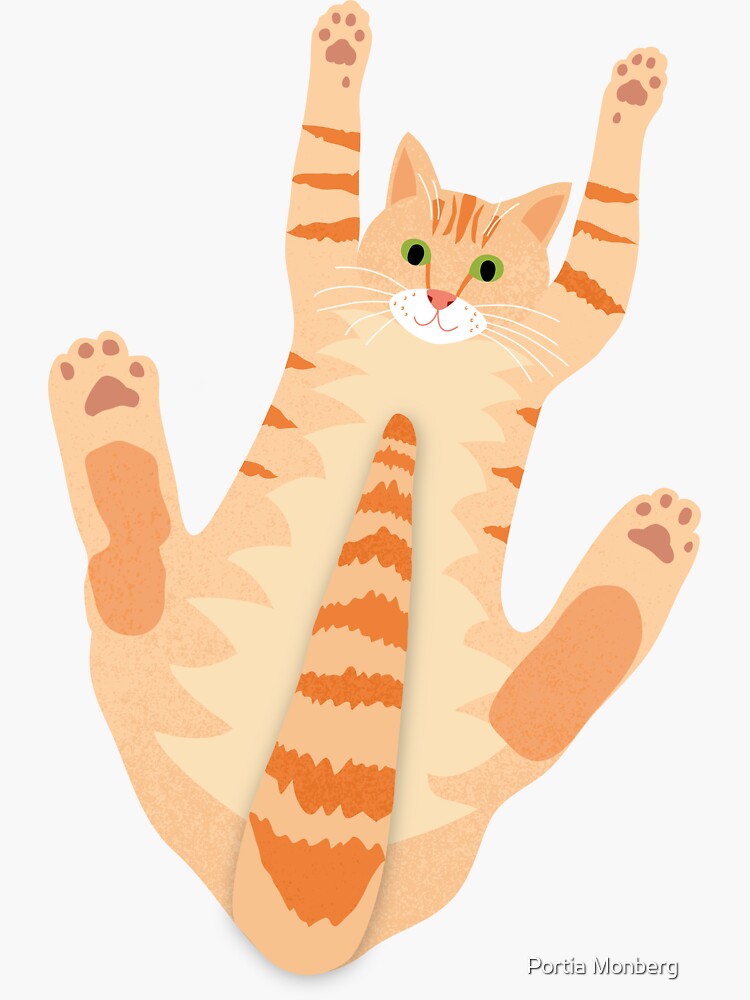 "Orange Cat with Cats have 18 Toes Message" Sticker for Sale by ...