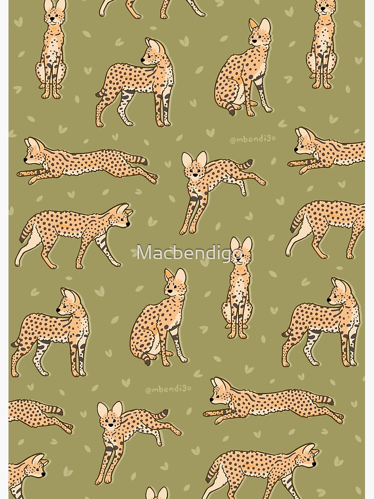 "Serval " Poster for Sale by Macbendigo | Redbubble