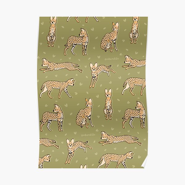 "Serval " Poster by Macbendigo | Redbubble