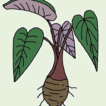 "Kalo" Sticker for Sale by nievie | Redbubble