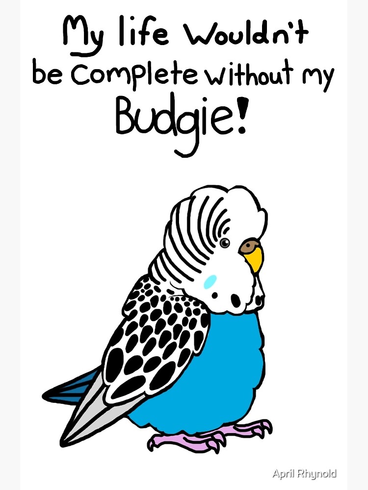 "My life - Blue Budgie!" Poster by BirdBling | Redbubble