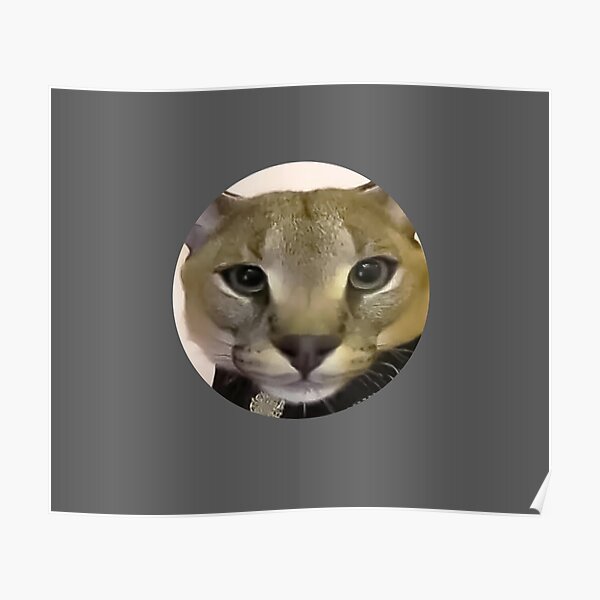 "Hecker high resolution" Poster for Sale by bashiq | Redbubble