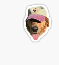 Dog Stickers | Redbubble