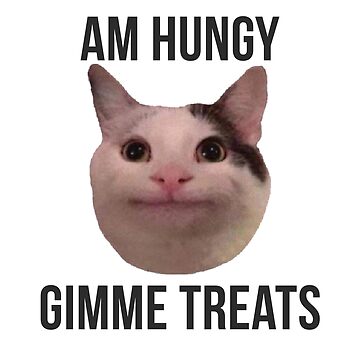 Cara De Meme Hambriento El Hambre 😰😨 #memes #galleta #comida