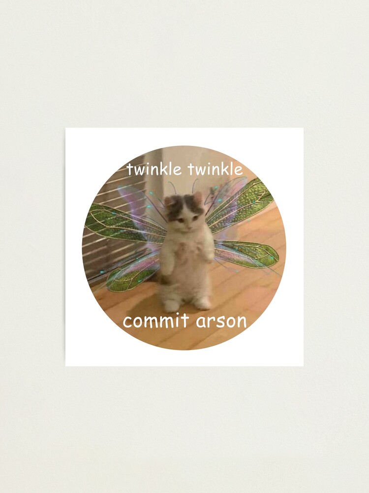 "Twinkle Twinkle Commit Arson Cat Meme" Photographic Print by ...