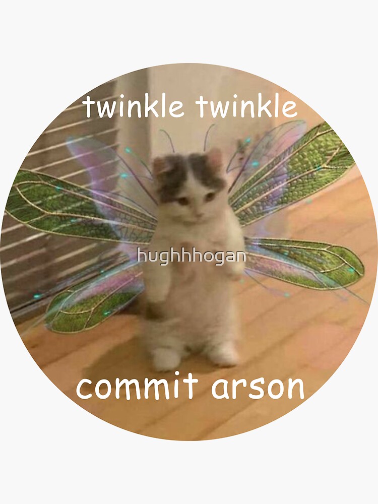 "Twinkle Twinkle Commit Arson Cat Meme" Sticker for Sale by hughhhogan ...