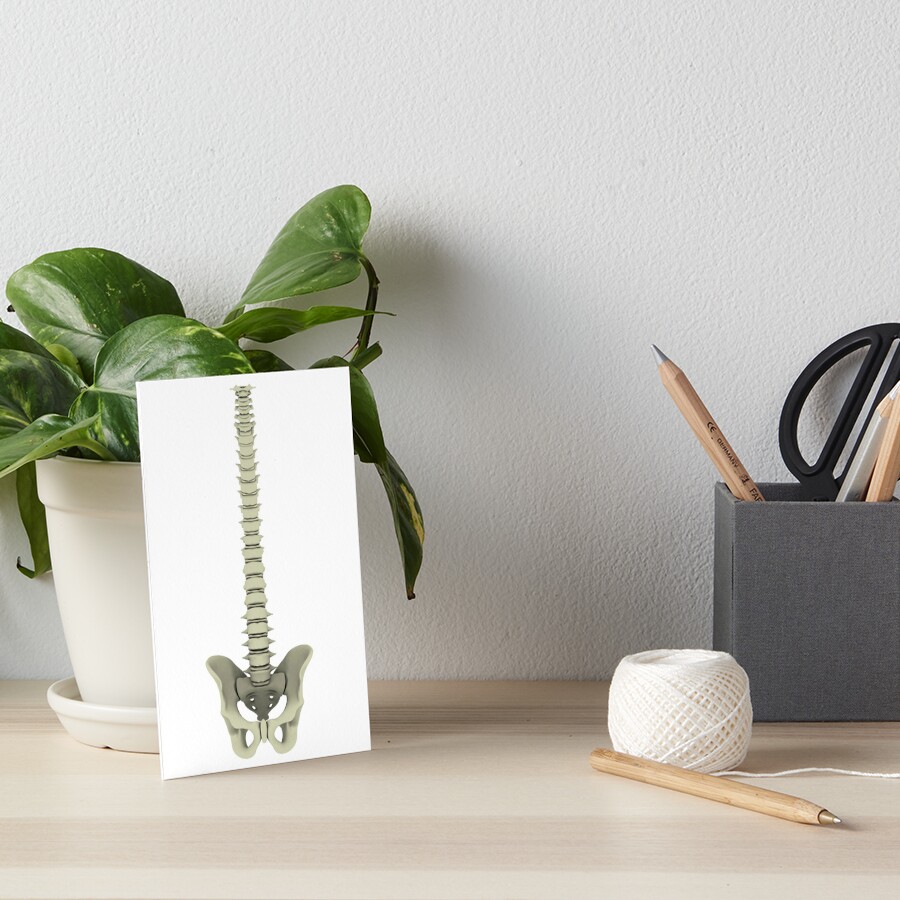 "Conceptual image of human backbone." Art Board Print by ...