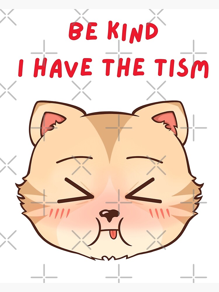 "Funny Be Kind I Have The Tism Confused Cat" Poster by GGTHEREDPRINCE ...
