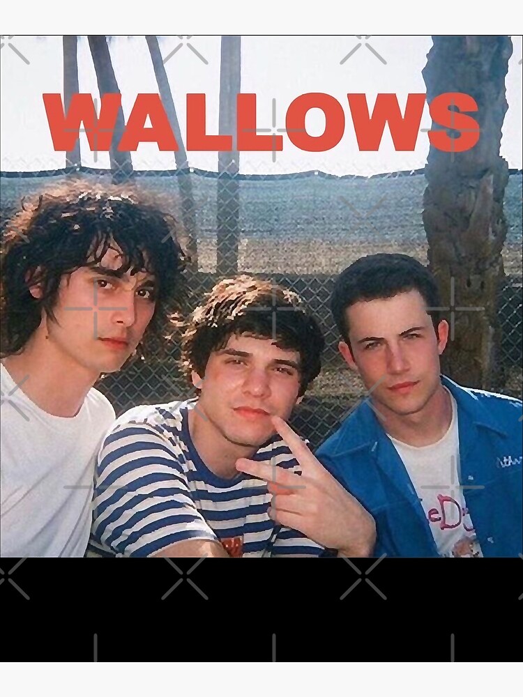 "Secret Wallows Gifts Movie Fan" Poster for Sale by Selmerconnelly | Redbubble