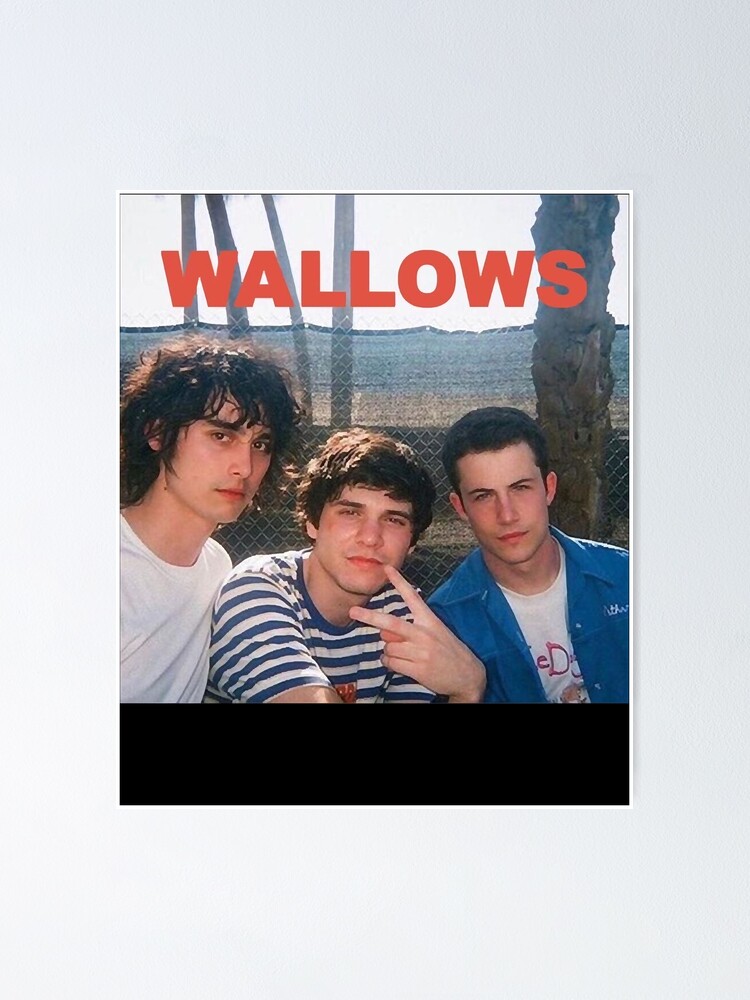 "Secret Wallows Gifts Movie Fan" Poster for Sale by Selmerconnelly | Redbubble
