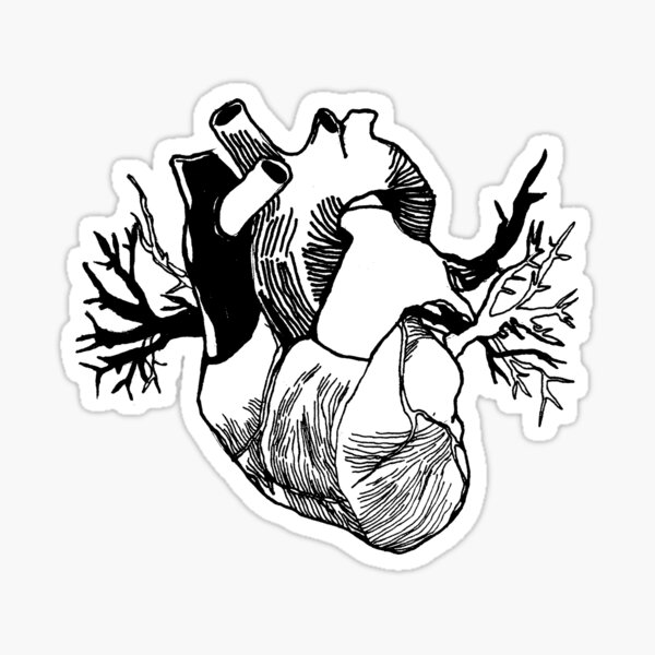"Human Heart drawing" Sticker for Sale by malahania | Redbubble