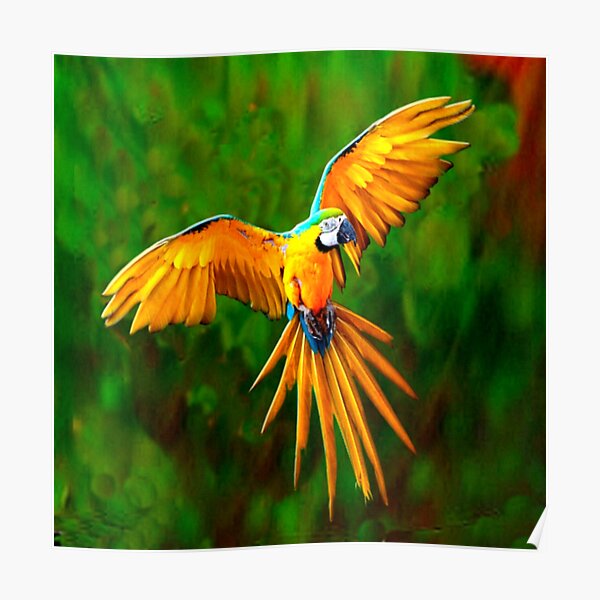"GOLDEN-BLUE MACAW ABSTRACT GREEN JUNGLE ART " Poster for Sale by ...