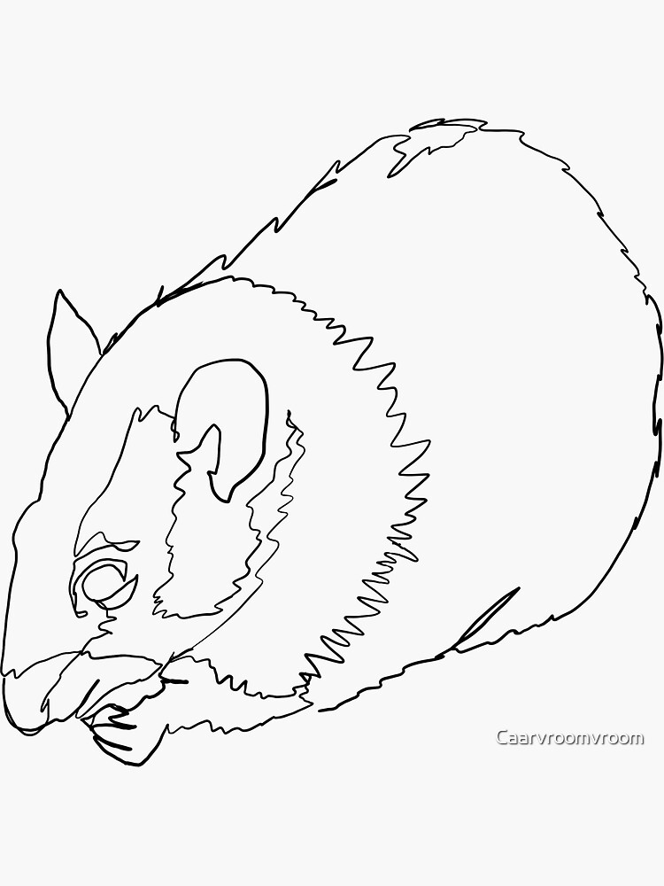 "Rat Line Art" Sticker by Caarvroomvroom | Redbubble