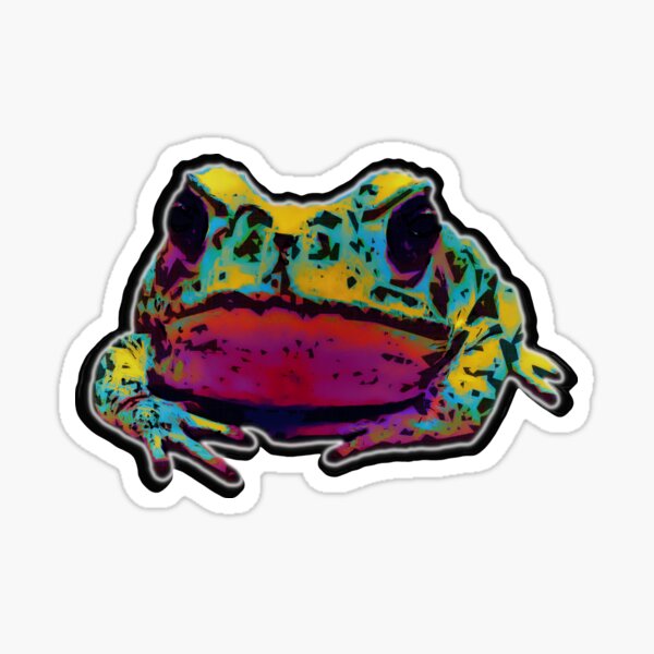 "Trippy Toad" Sticker by Scruffler | Redbubble