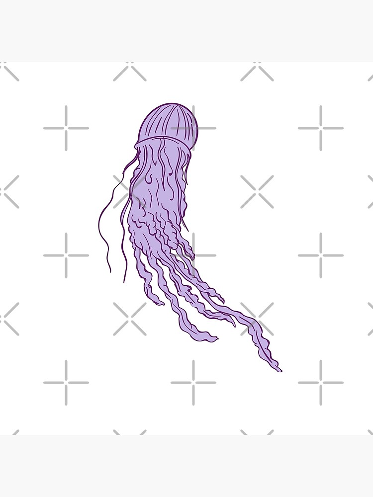 "Australian Box Jellyfish Drawing" Art Print by patrimonio | Redbubble