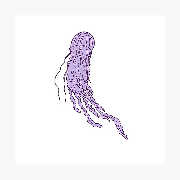 "Australian Box Jellyfish Drawing" Photographic Print for Sale by ...