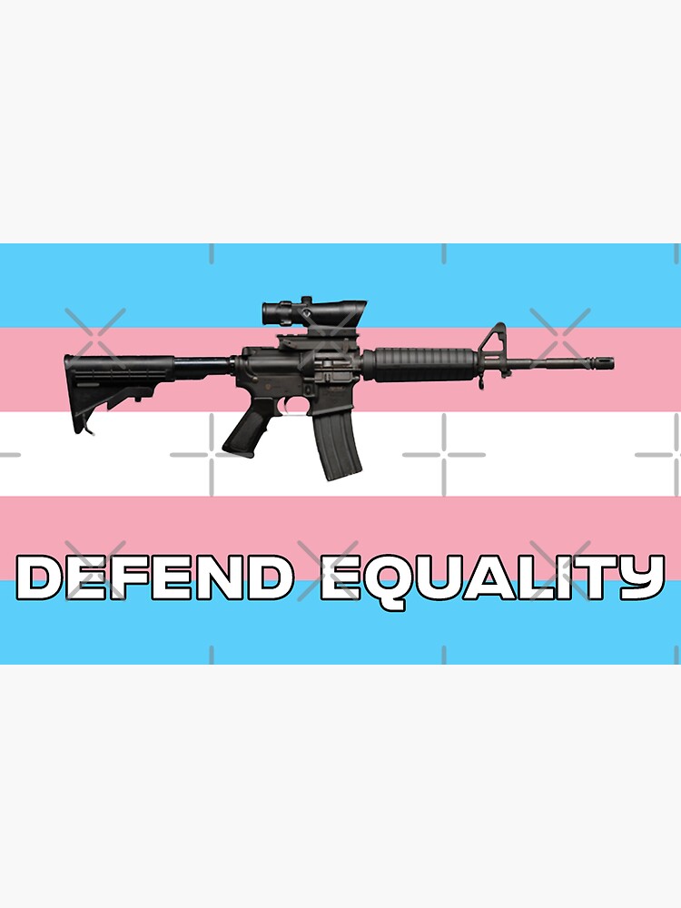 "Defend Equality (Trans Flag)| First Amendment| Cool and Cute Stickers ...