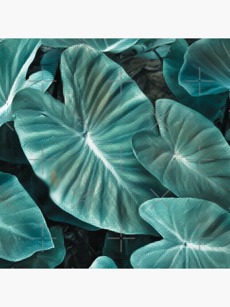 "Hawaiian Taro" Sticker by CatsPa | Redbubble