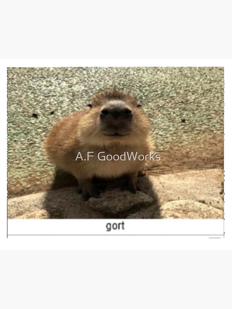 "gort" Poster for Sale by Pinkchickenxd50 | Redbubble