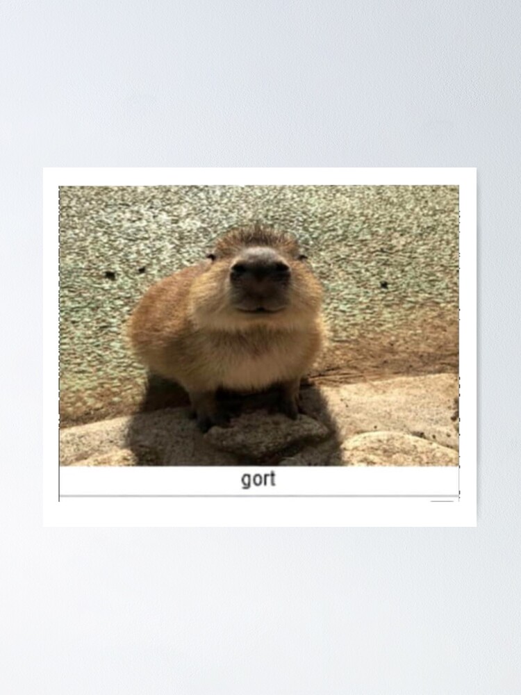 "gort" Poster for Sale by Pinkchickenxd50 | Redbubble