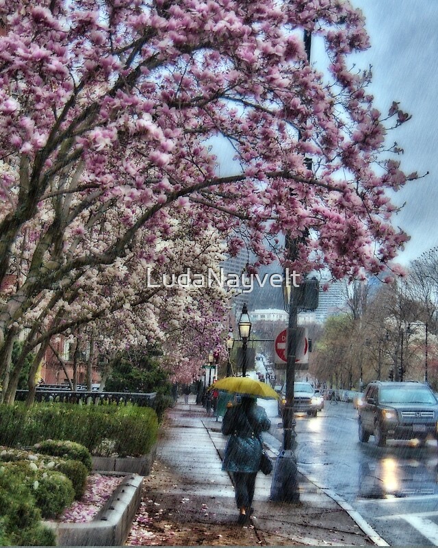 "First Spring Rain" by LudaNayvelt | Redbubble
