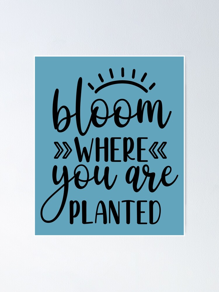 "Bloom Where you are Planted" Poster for Sale by AdventArt | Redbubble