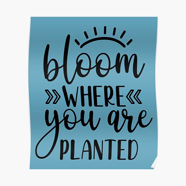 "Bloom Where you are Planted" Poster for Sale by AdventArt | Redbubble