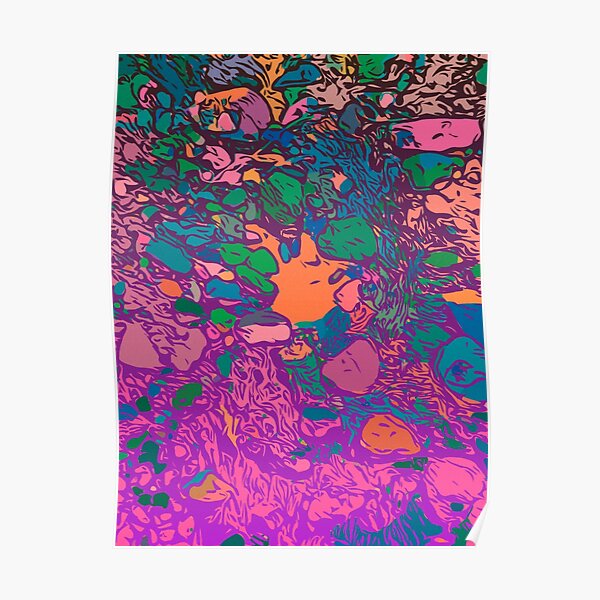 "Springbrook Series ~ Rock Hopping in PoMo" Poster for Sale by ...