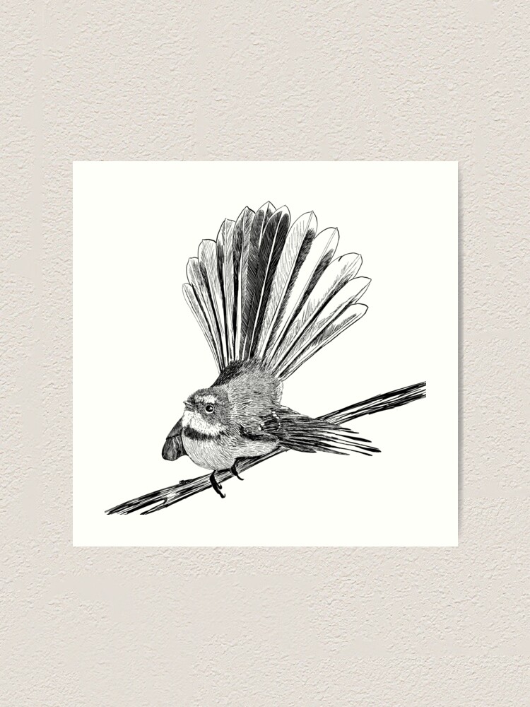 "Native New Zealand Fantail" Art Print for Sale by ptolia | Redbubble