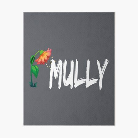 "Mully tshirt.Mully Slim Fit . Mully mask, mully mask.mully hoodie.mini ...