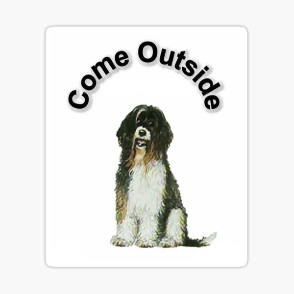 "Come outside" Sticker by Glinda-39 | Redbubble