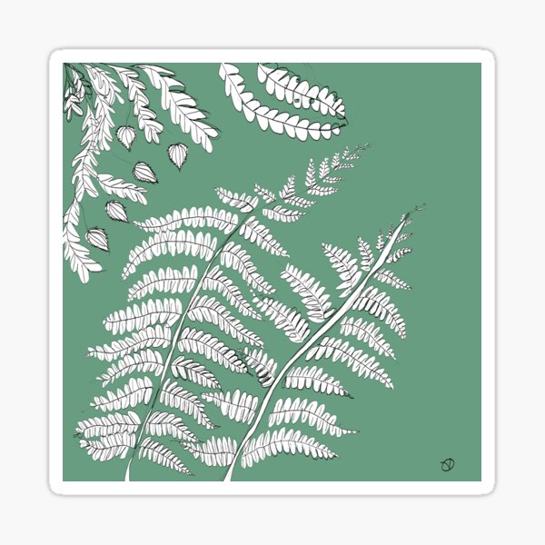 "Ferns" Sticker by VeronikaOchsler | Redbubble