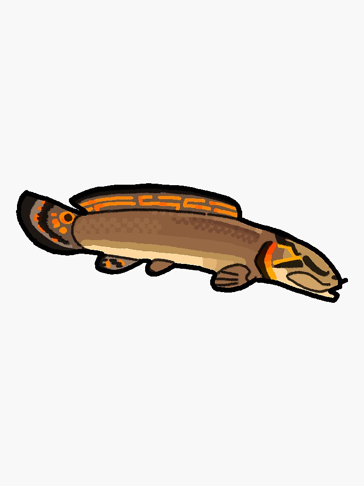 "Bowfin" Sticker by Trilodite | Redbubble