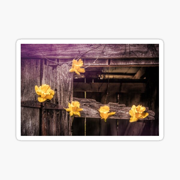 "Colorful Outhouse" Sticker by butterbean57 | Redbubble