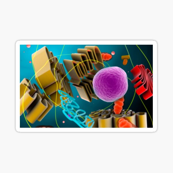 "Microscopic view of animal cell nucleus." Sticker for Sale by ...