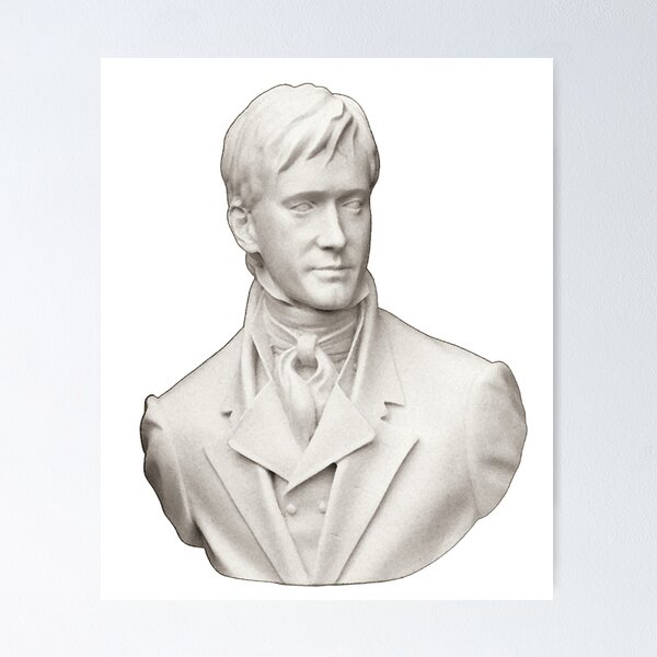 "Mr. Darcy" Poster for Sale by EmmyDoots | Redbubble