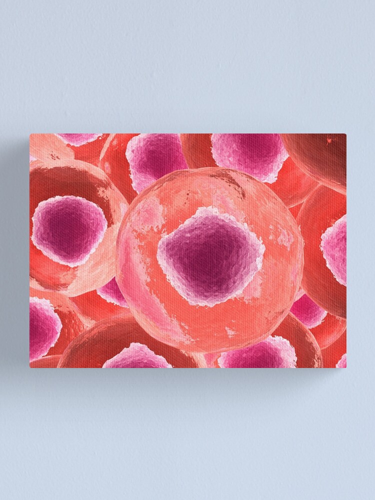 "Microscopic view of animal cell." Canvas Print by StocktrekImages ...