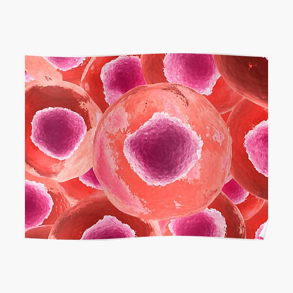 "Microscopic view of animal cell." Poster for Sale by StocktrekImages ...