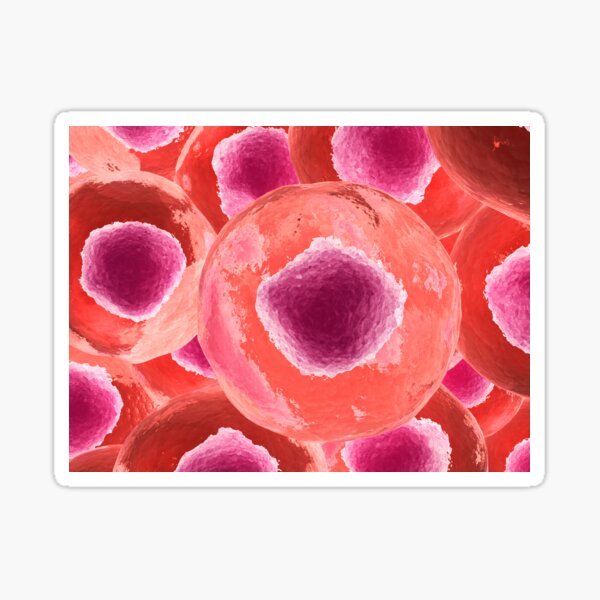 "Microscopic view of animal cell." Sticker for Sale by StocktrekImages ...